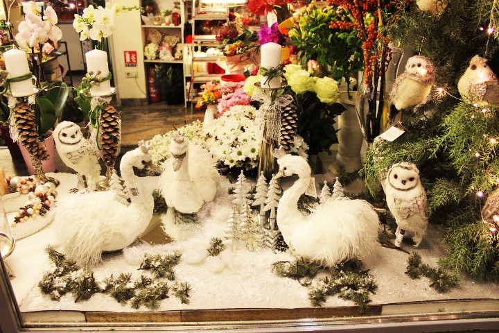 DOSTAVA CVIJEĆA MEZAK - Dostava cvijeća Mezak